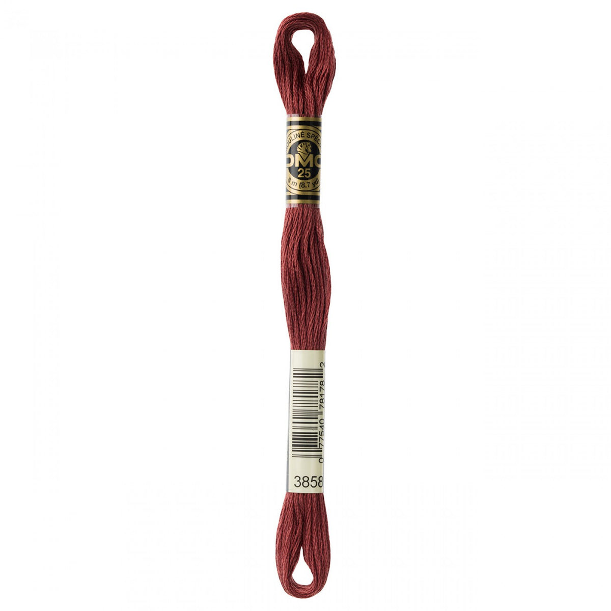 DMC Embroidery Floss 8M (3858 Medium Rosewood) – Fabrications Ottawa