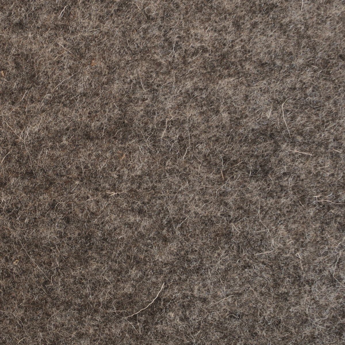 Trufelt BioFelt 100% Wool Felt Sheets- 643 Dark Beige – Fabrications Ottawa